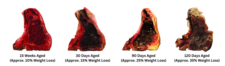 Dry Aging Beef With CARNE - GTI Designs